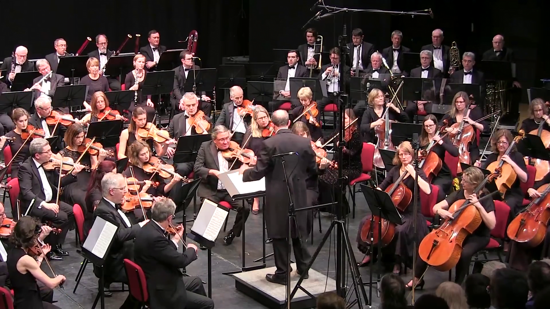 Gallery – Bromley Symphony Orchestra