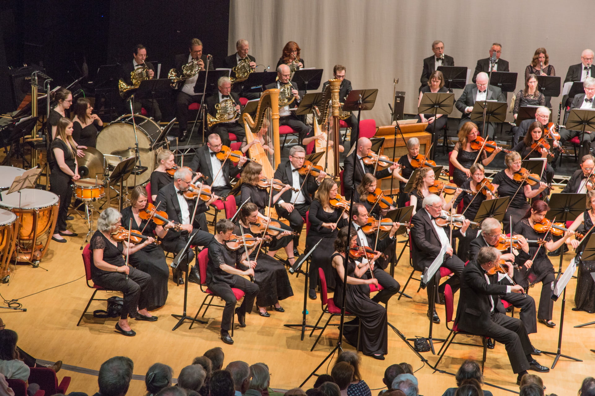 Gallery – Bromley Symphony Orchestra